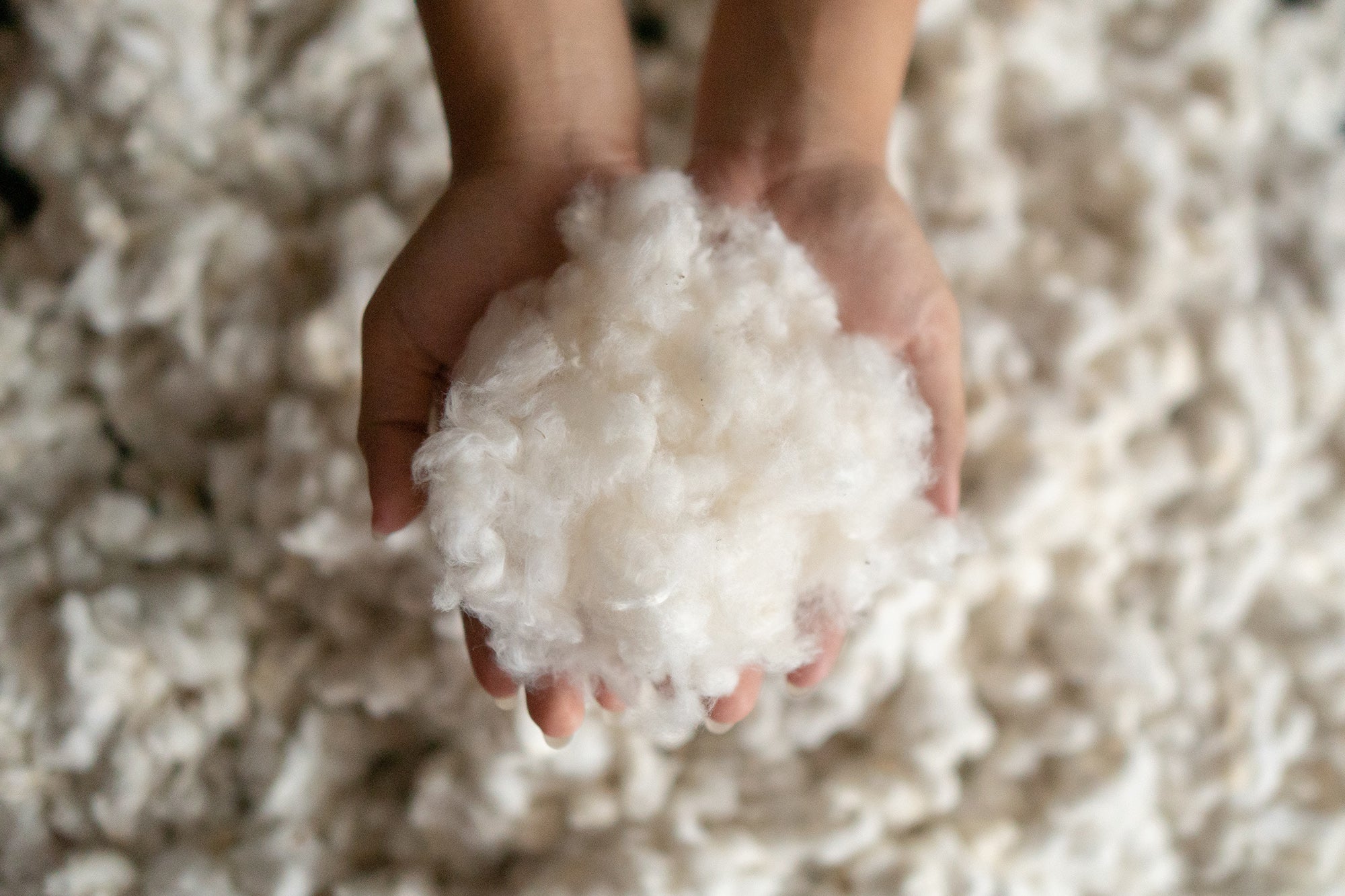 Heritage Blazer - ANYAM Beskap – SukkhaCitta